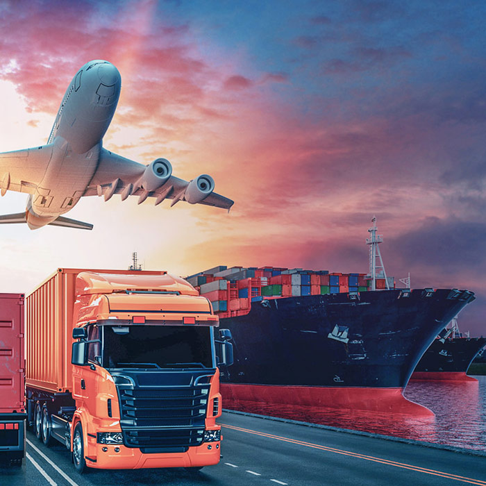 BF Logistics and Transports | Logistica e trasporti